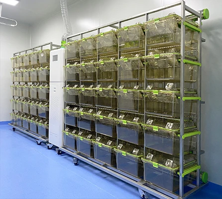 Animal Laboratory IVC Cages - Low Noise & Durable