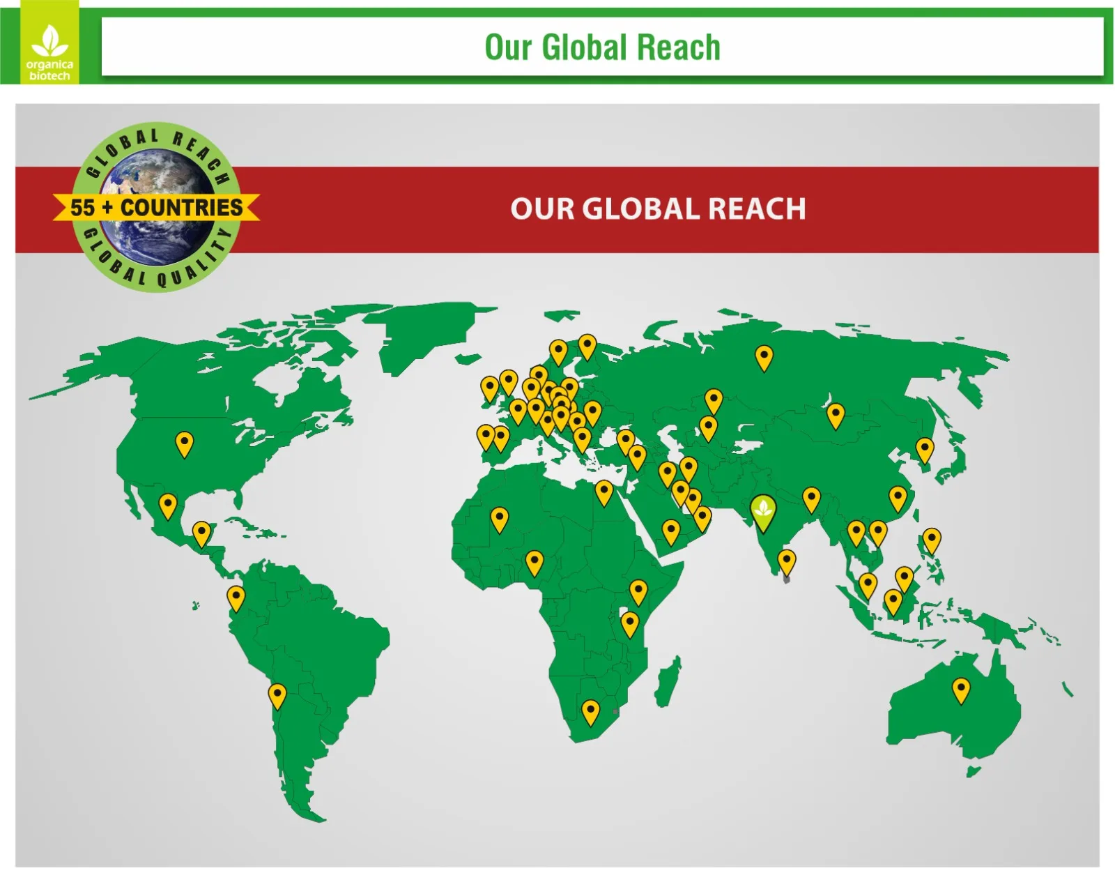 Small biofloc fish farming using BIOFLOK| Alibaba.com