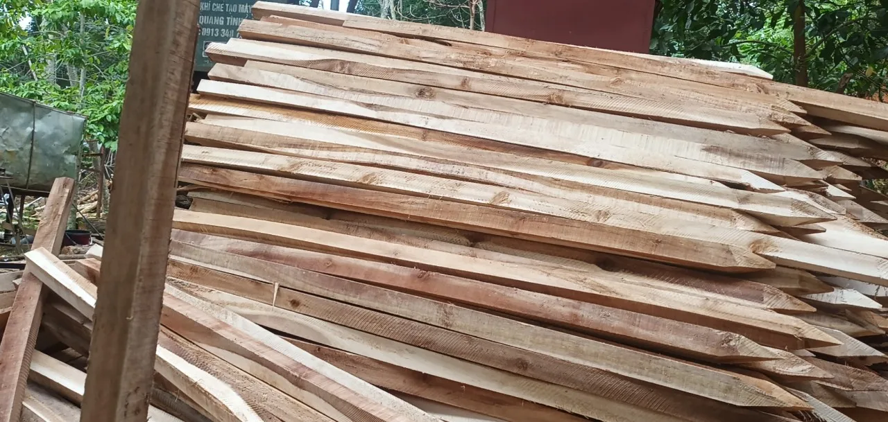 Good Quality 100% Acacia Wood Stakes From Vietnam Available For Export ...