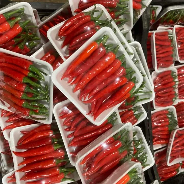 Fresh Red Chili From Top Suppliers Vietnam Best Fresh Chili Premium ...