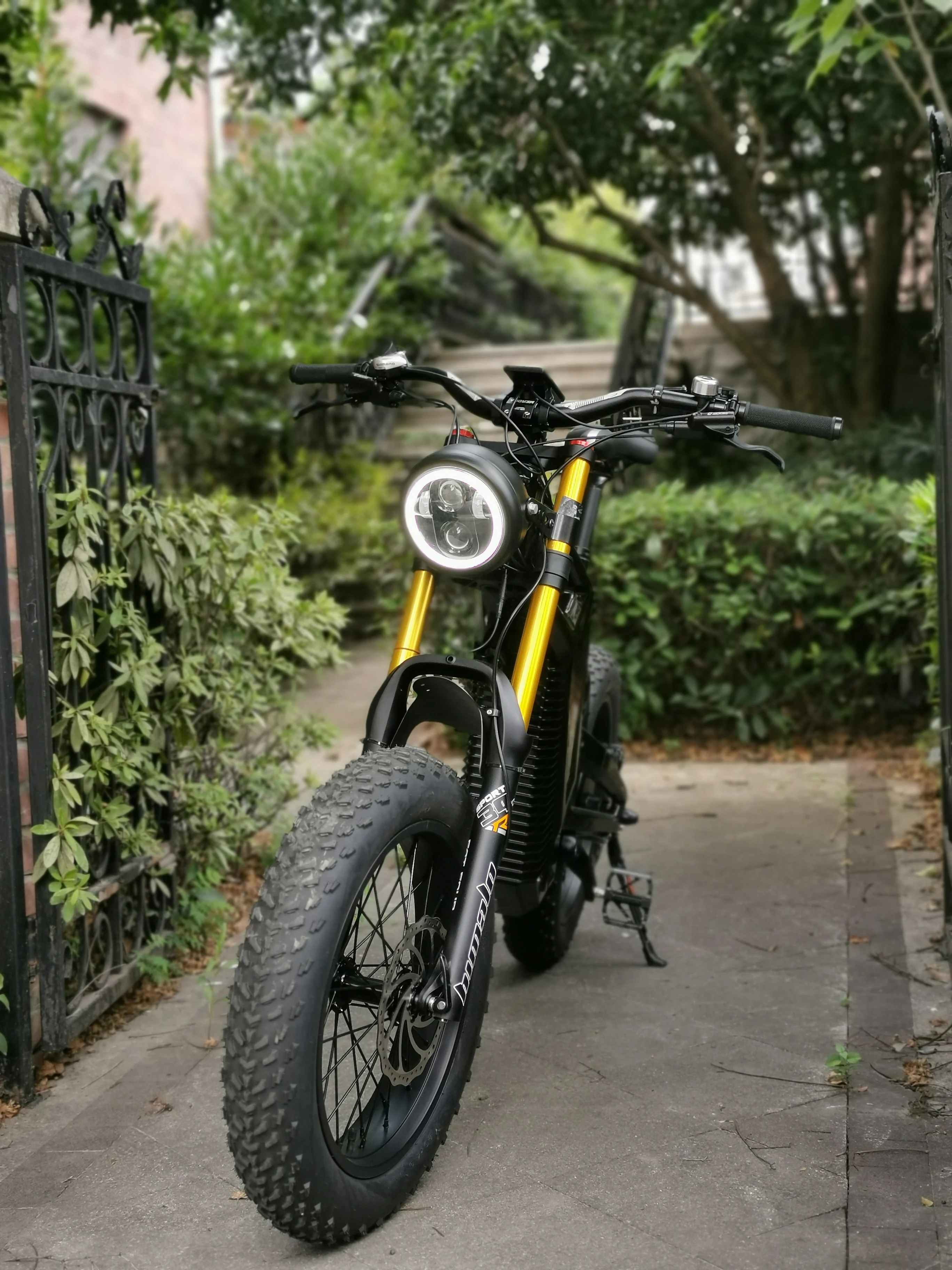 Low Rider Ebike - 500/1000W Motor, 52V 25ah Battery