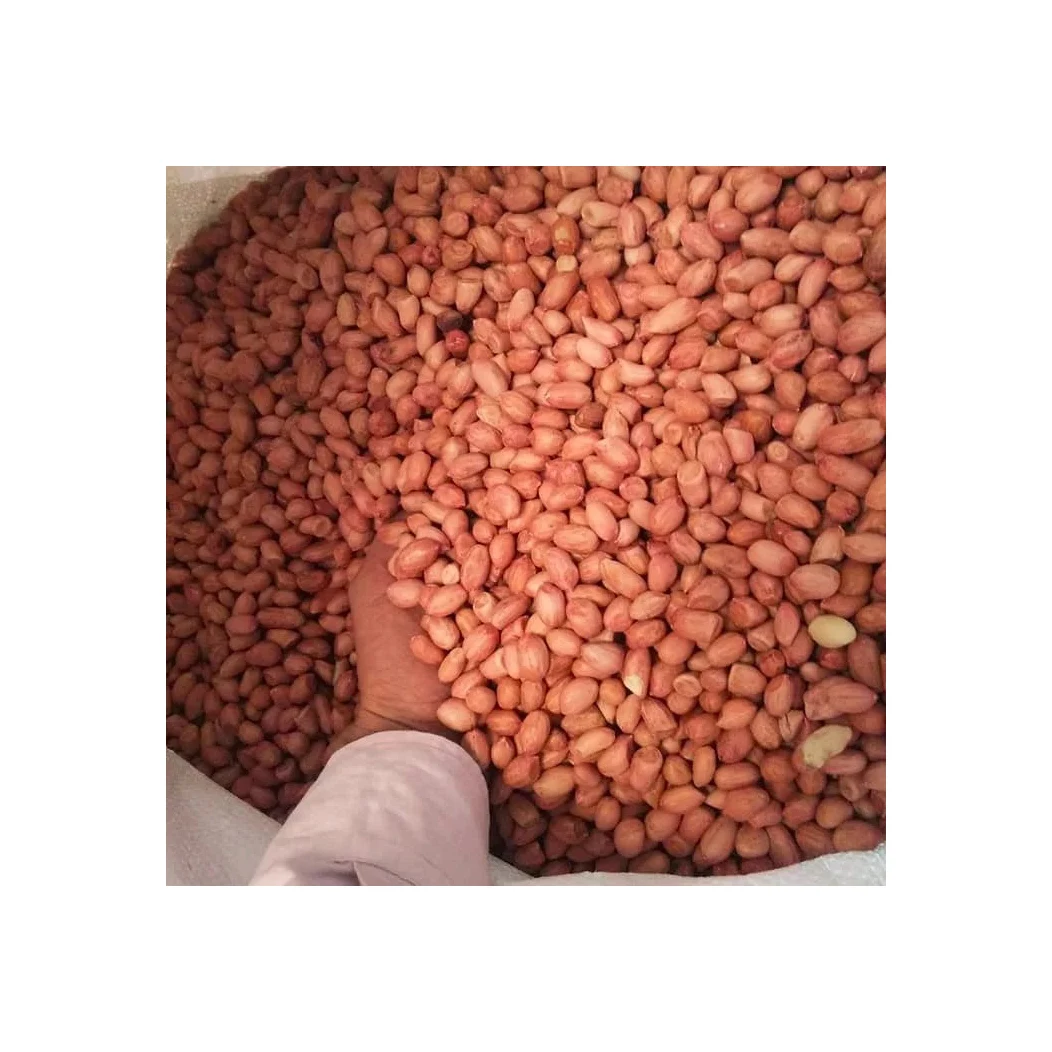 Wholesale Peanuts Organic Peanut Kernels Best Price
