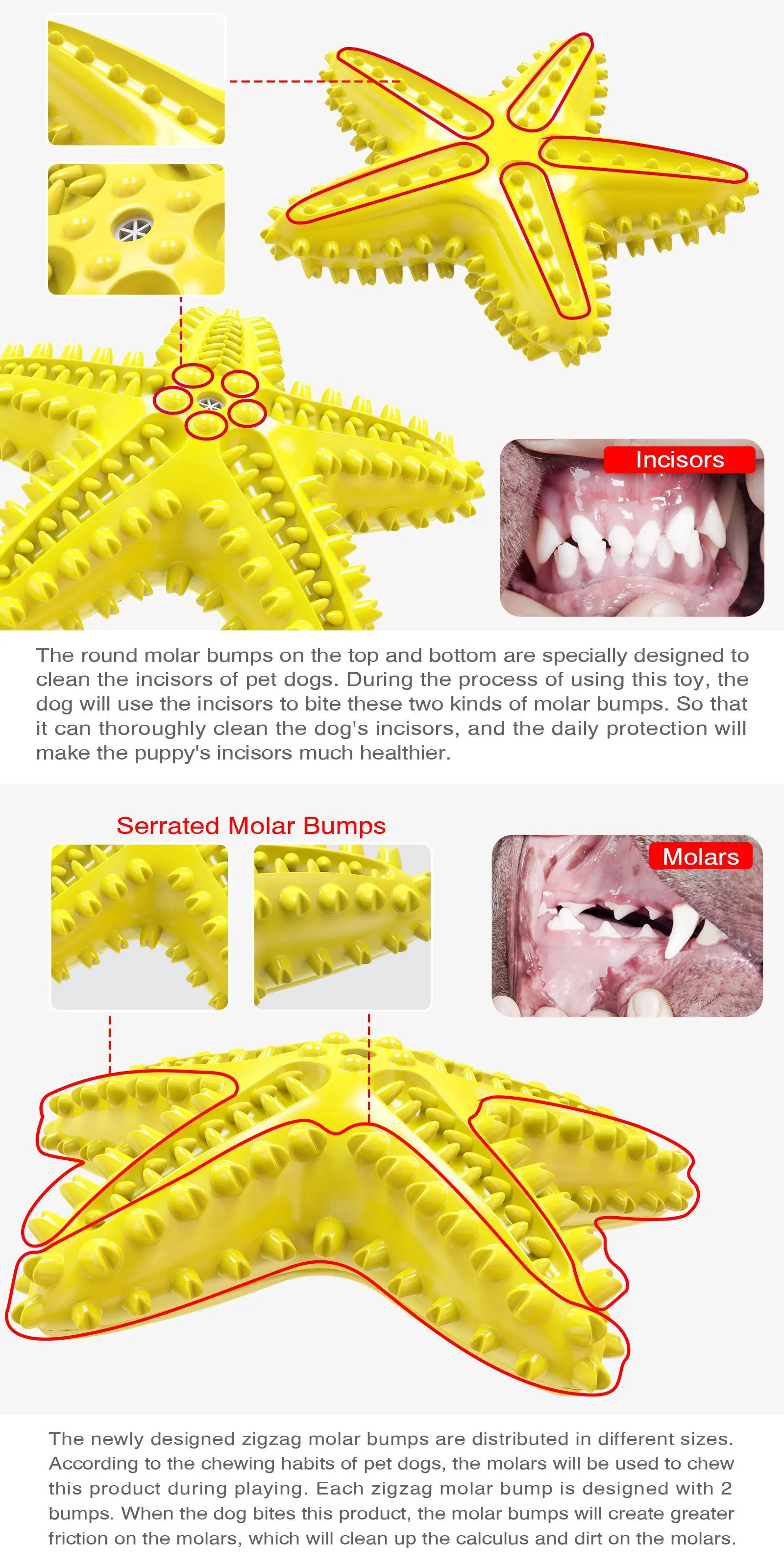 Starfish Design Water Floating Durable Dog Teeth Cleaning Toy - Buy ...