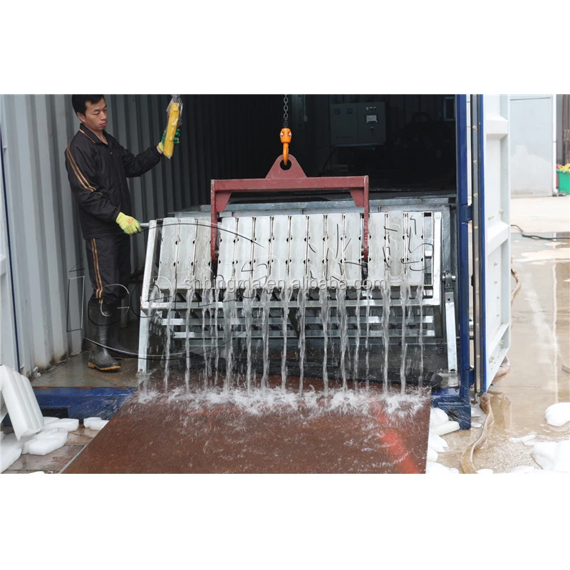 10 Ton Containerized Mobile Ice Block Maker Machine by ICEMA