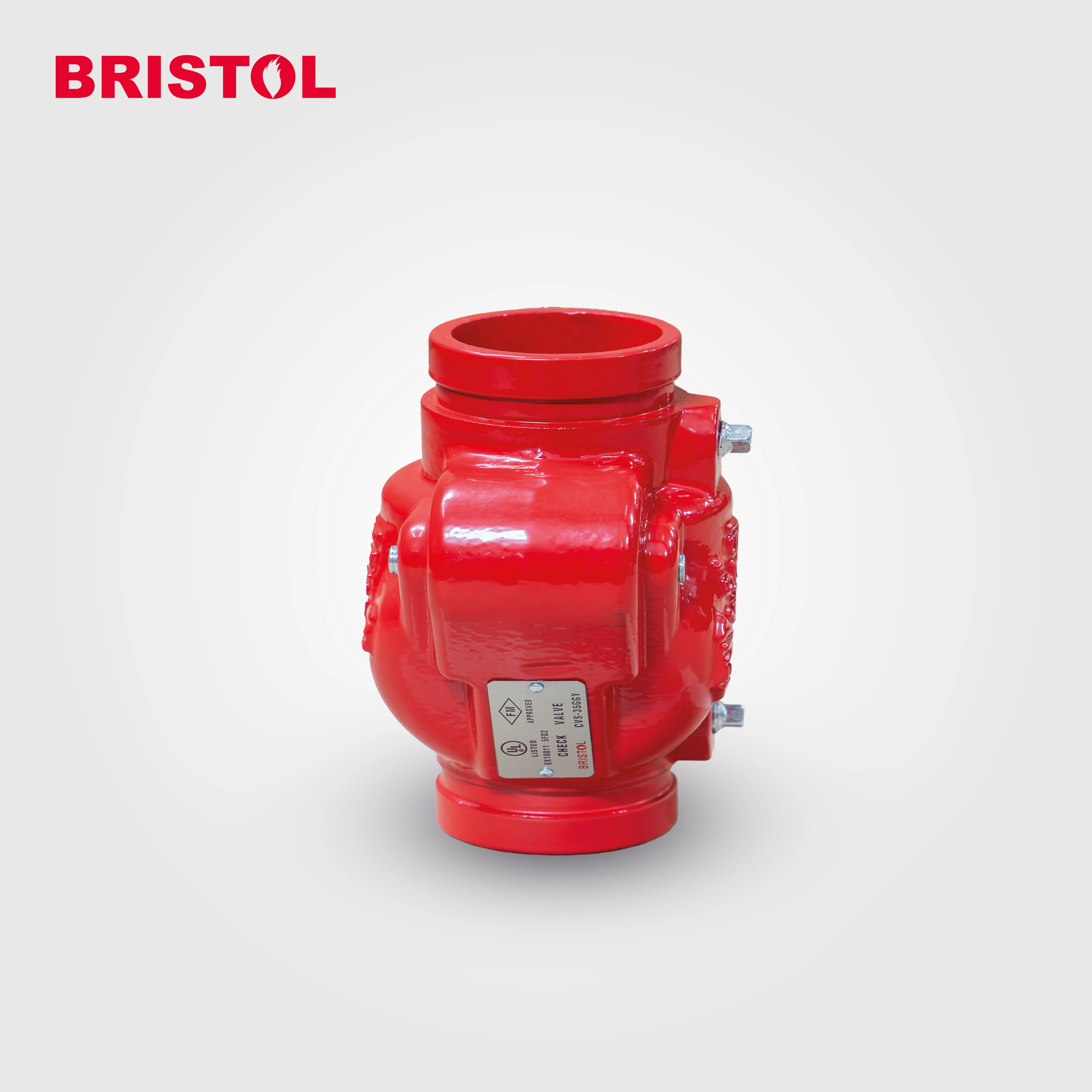 10" Check Valve (PN16 Flanged, Swing Type, 300psi, Bristol, CVS-3FFXY ...