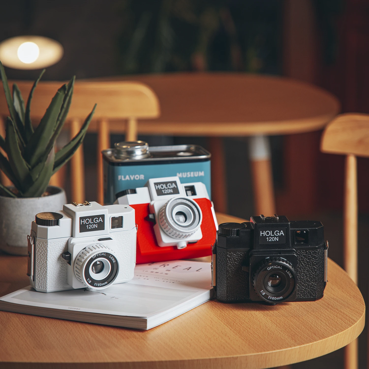 Holga 120n Manual 60mm F/8 Lens Classic Toy Camera 120-format Roll Film ...