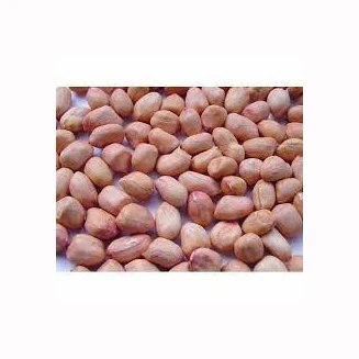 Red Peanut, Blanched Peanut Kernels, Bold Peanuts Blanched Peanuts Java ...