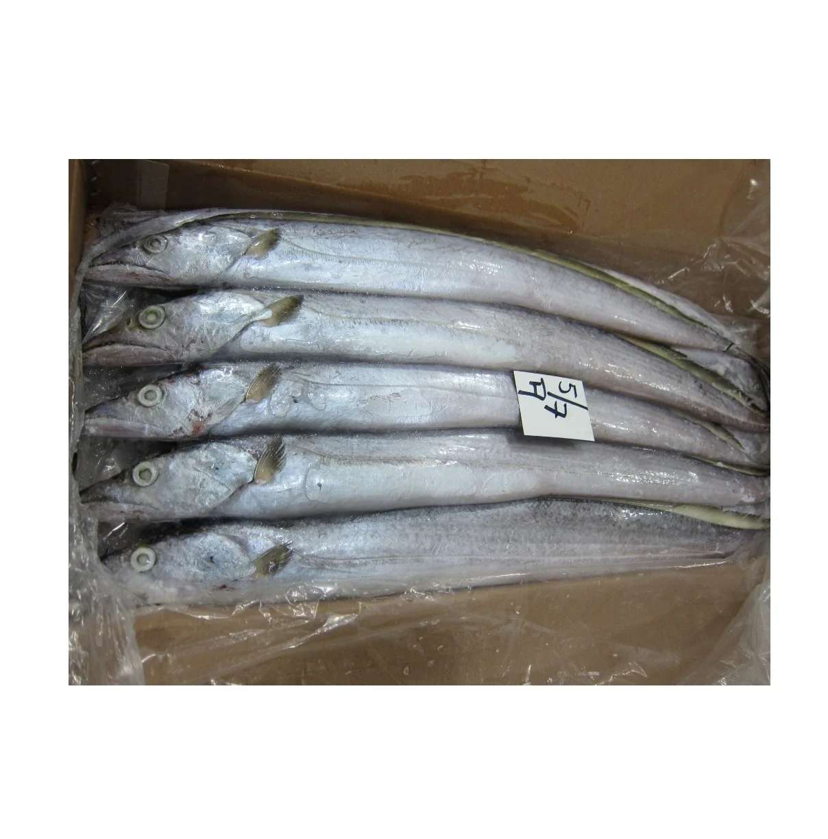 Frozen Seafood Supplier Of Size 500-700g Iwp Frozen Ribbon Fish - Buy ...
