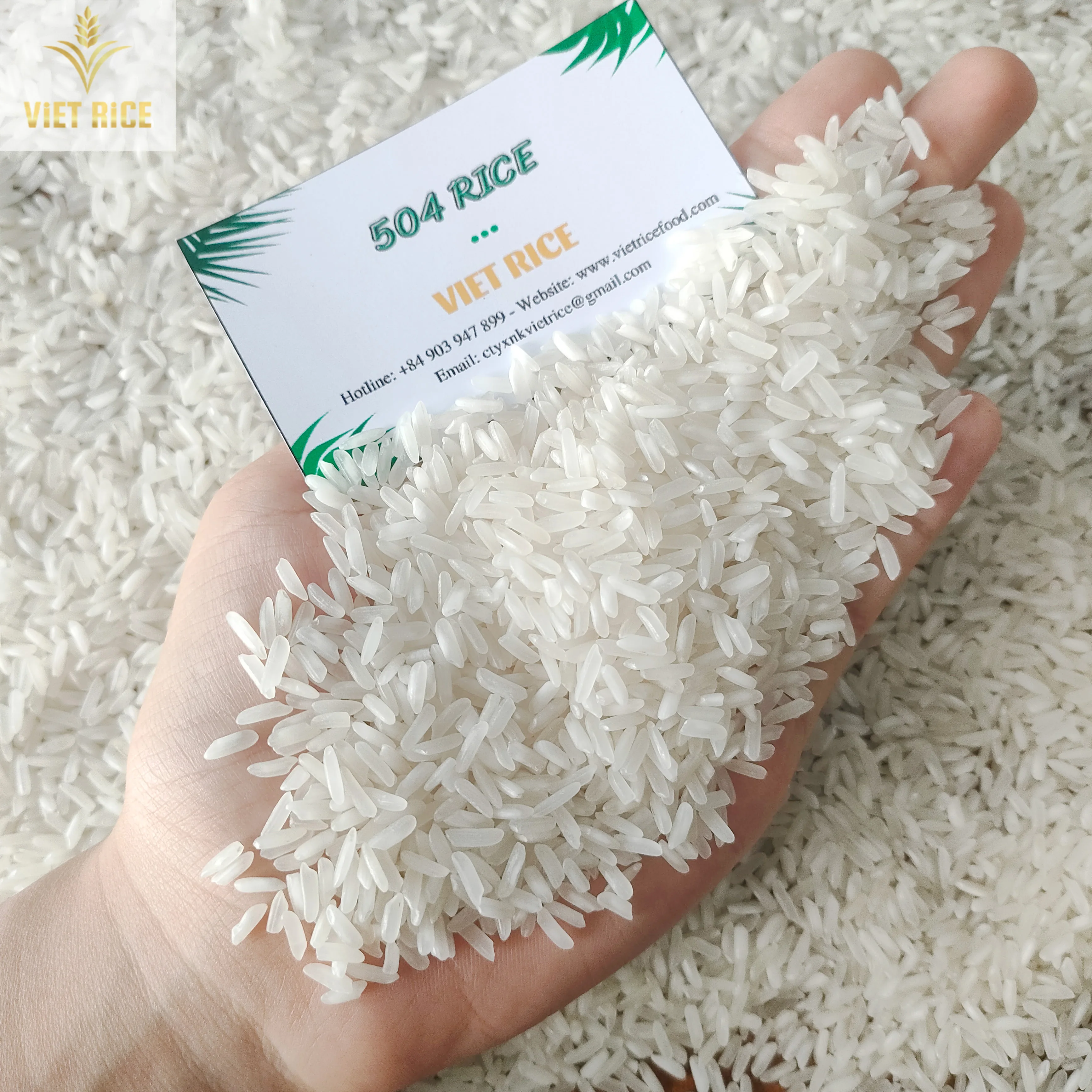 Vietnamese Rice - Long Grain White Rice Ir504 High Quality,Quantity ...