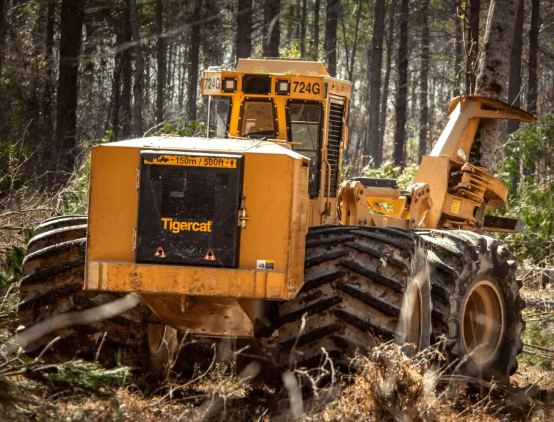 Tigercat 724G Feller Buncher for Sale Reliable and High Performance ...
