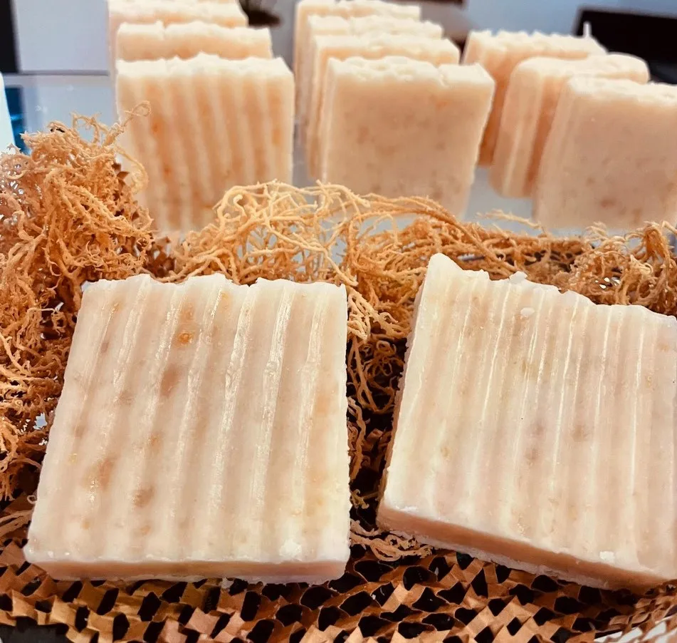SEA MOSS SOAP/ BAR SOAP IRISH MOSS - HANDMADE 100% INGREDIENTS FROM ...