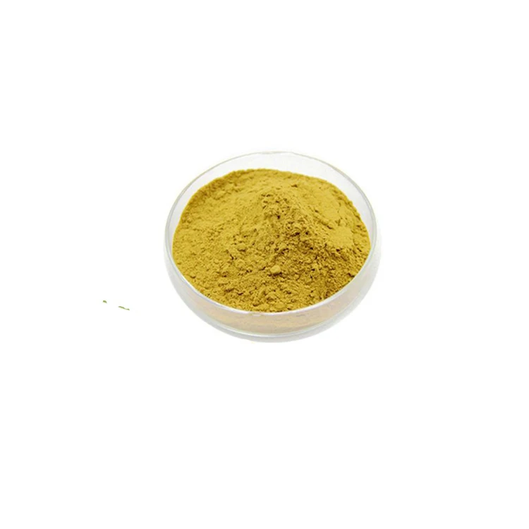 Semen Ginkgo Seed Ginkgo Biloba Extract Granular Extract Powder Ginkgo ...