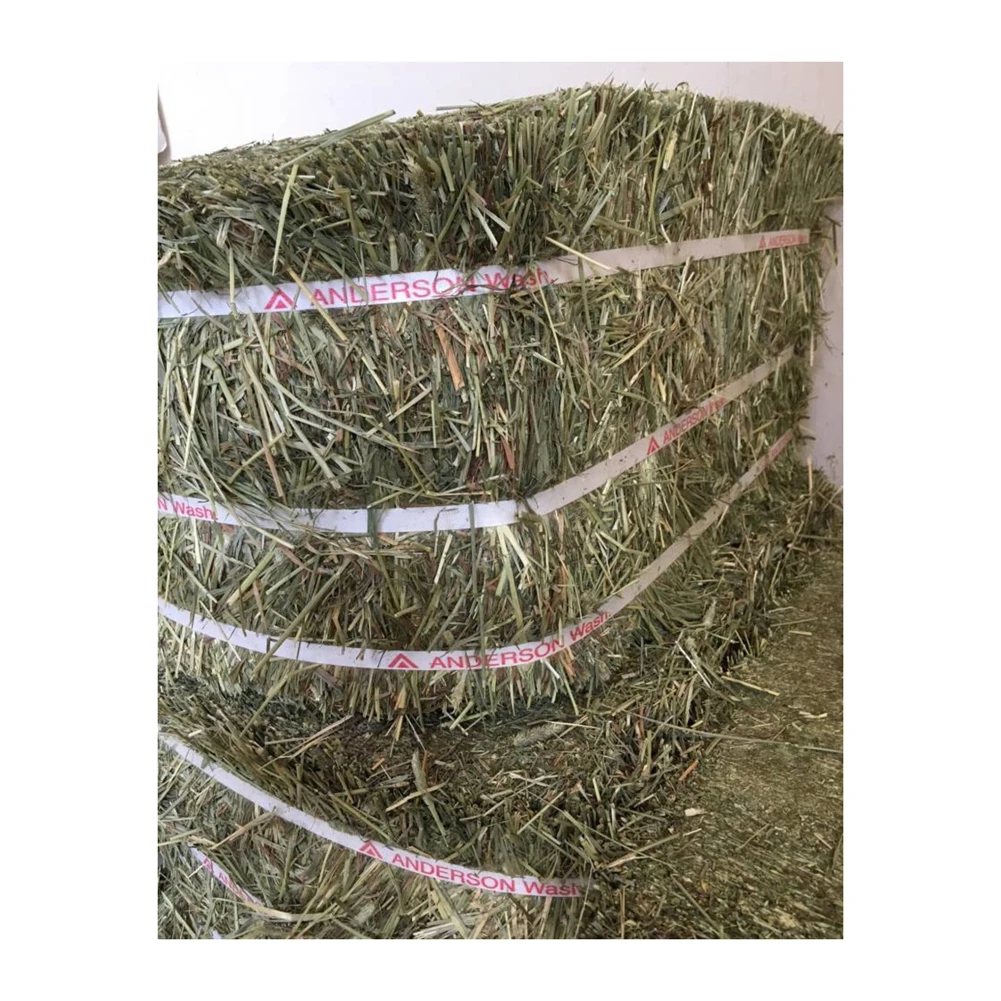 Alfalfa Hay For Animal Feeding /alfalfa Hay Pellets /timothy Hay In ...