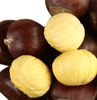 Best Selling Germany Shelled Fresh Raw Organic Chestnuts In 5kg Peeled ...
