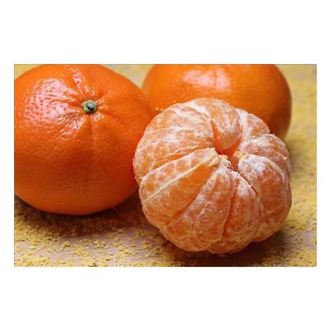 Fresh Eureka Lemon, Adalia Lemon, Verna Lemon Exporters Fresh Oranges ...