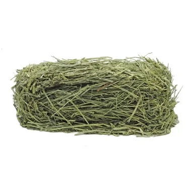 Alfalfa Hay - Premium Timothy Hay for Animal Feeding