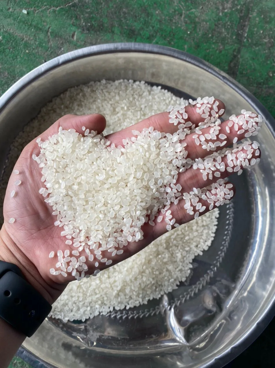 Japonica Short Grain White Rice Packing Brand For Retailer +84 ...