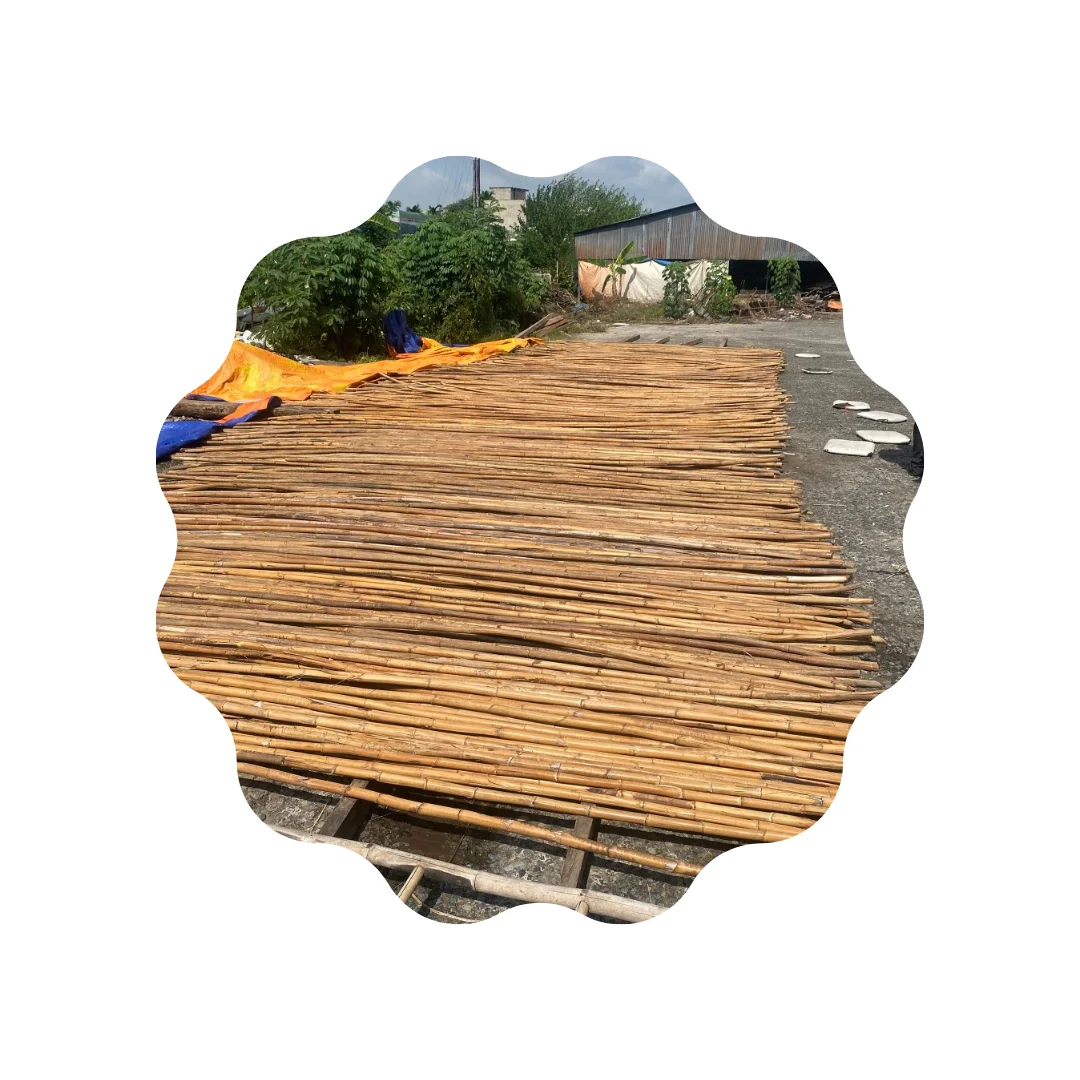 Raw Manau Rattan Bamboo Cane - Best Quality Rattan Unpeeled 18mm to ...