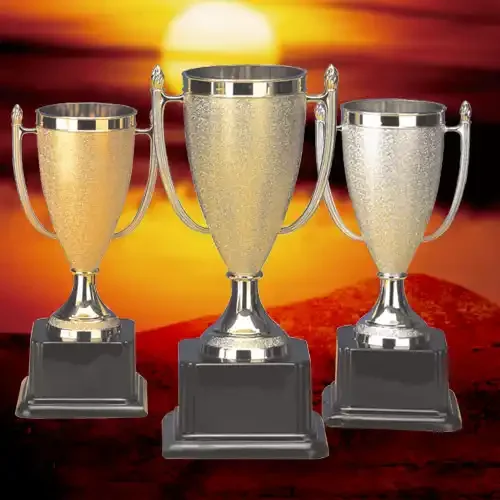 Custom Metal Cup Trophy Awards - High Quality & Luxury