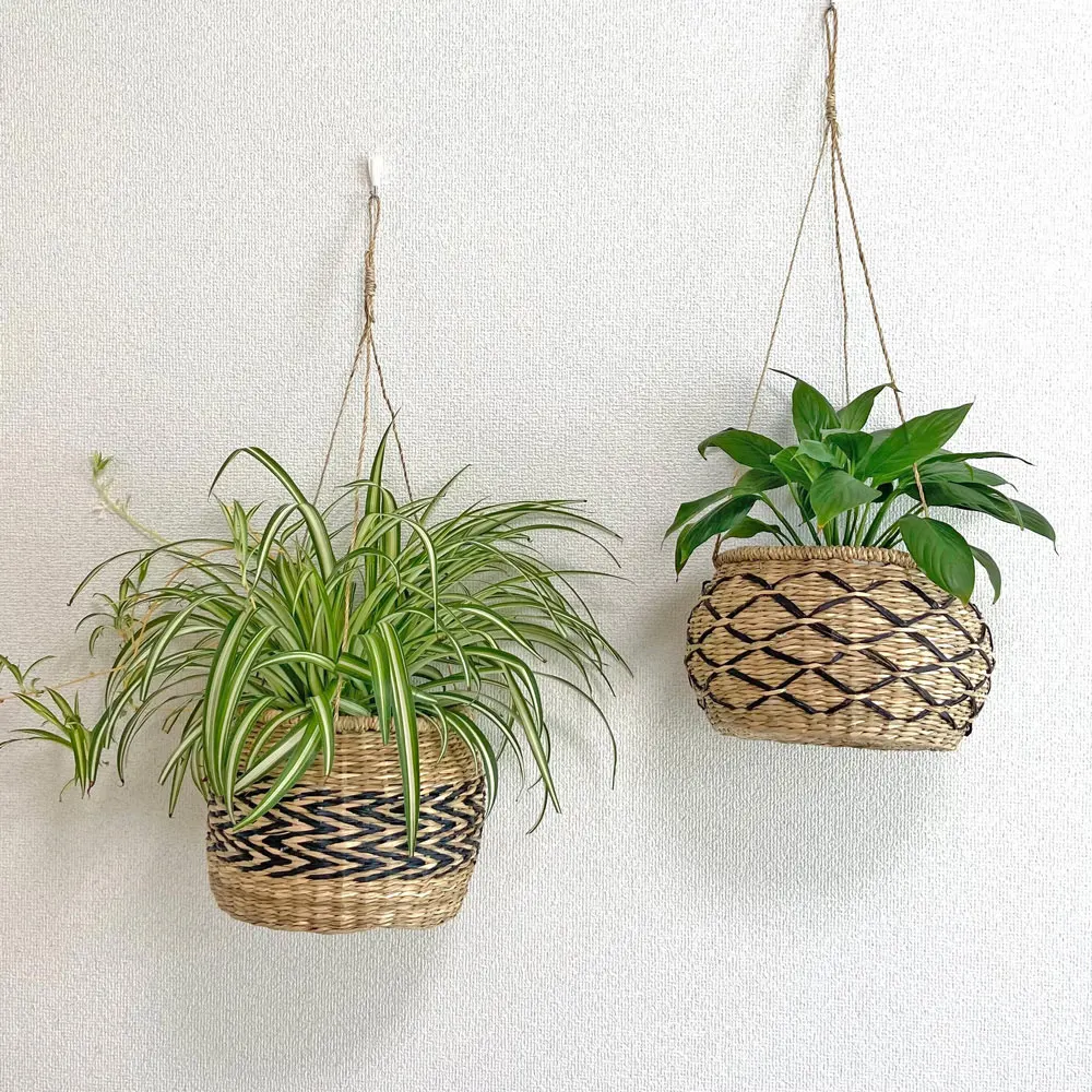 Houseplant Hanging Rope Hanging Planter Seagrass Basket Hanging Planter ...