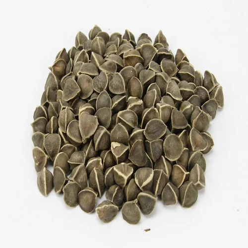 Moringa Seeds Bulk Moringa Seeds Moringa Tree Seeds - Buy Moringa Seeds ...