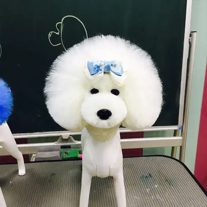 Wholesale Dog Wigs for Pet Groomers Practicing Dog Back Wig| Alibaba.com