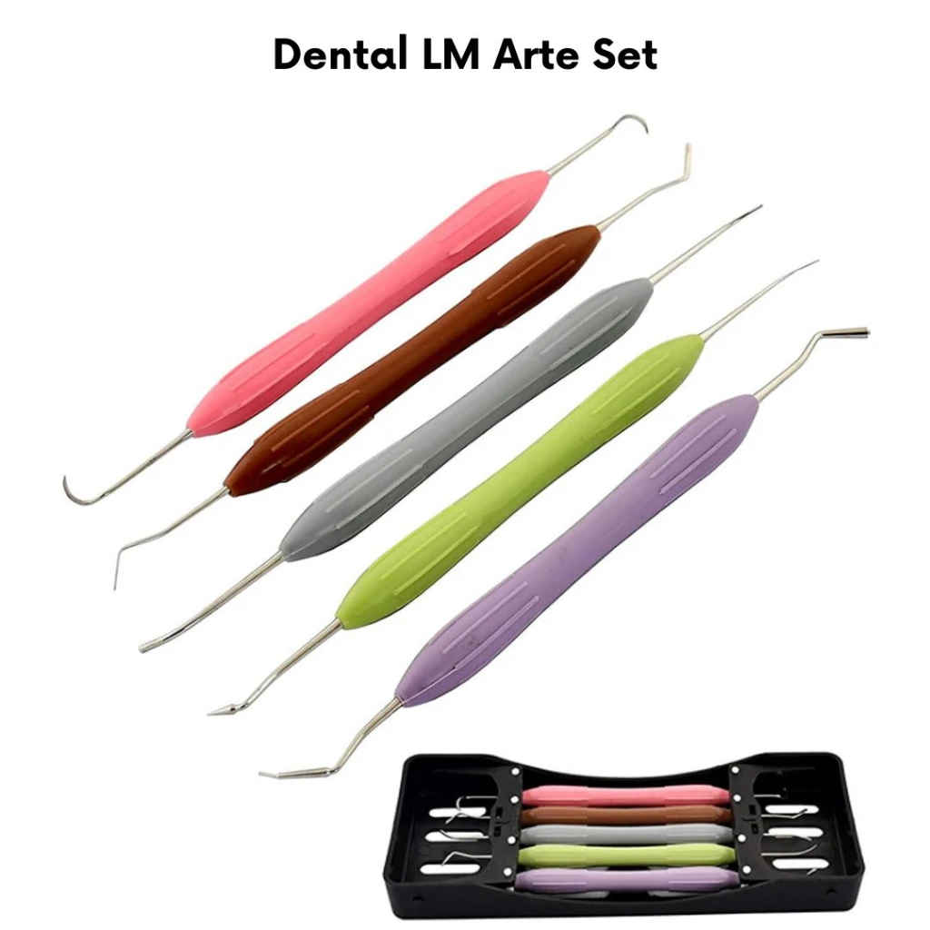 Anterior Posterior LM Arte Dental Filling & Cleaning Tools