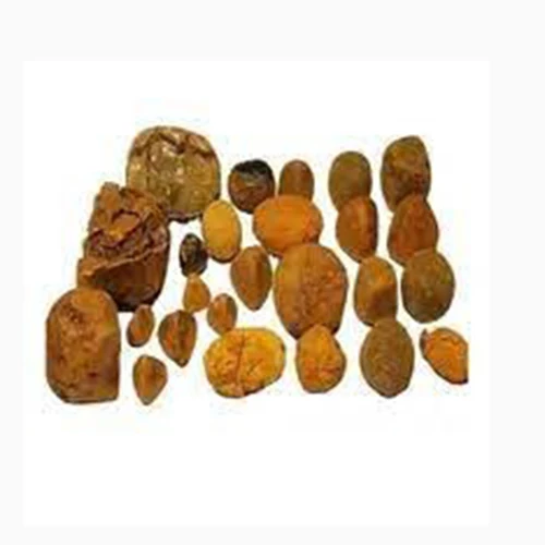 Sell Gallstones Cow Gallbladder Stones For Medicine Ox Gallstone Supply ...