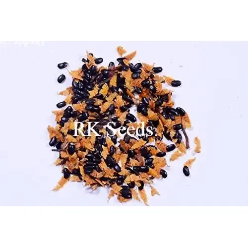 RK Seeds Australian Teak Seeds Acacia Mangium Tree Seed Black Wattle ...