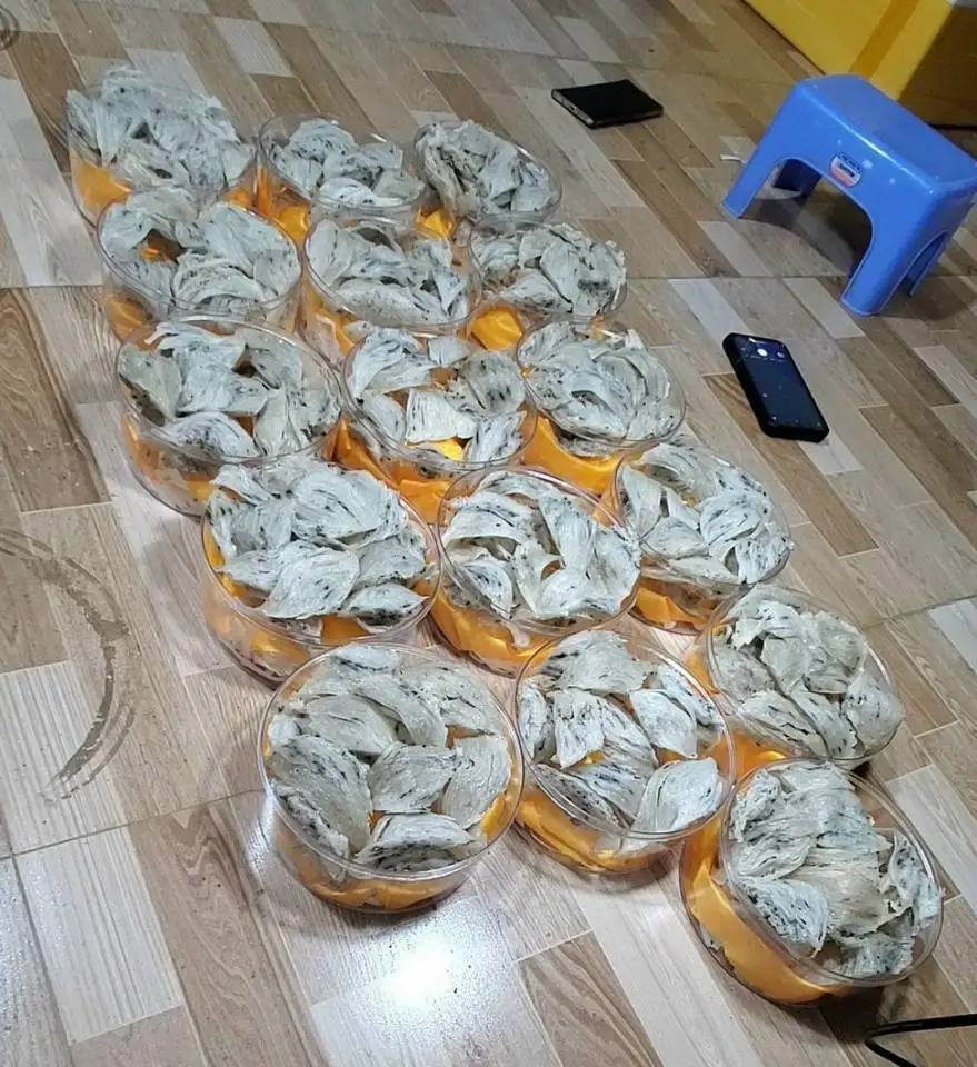 Raw Edible Bird's Nest Pure Bird Nest Corner Original Swallow Bird Nest ...