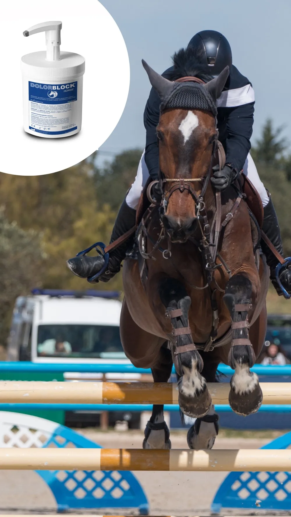 Made In Italy Dolorblock Horse 1000 Ml Airless Dispenser Anti ...
