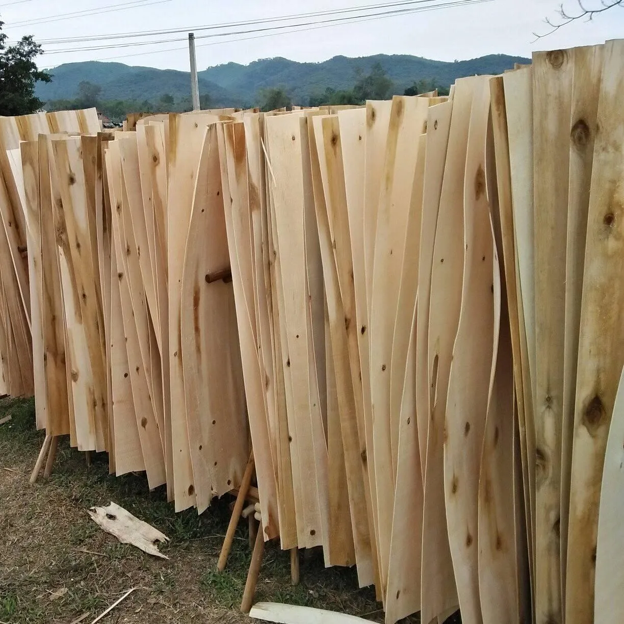 Wholesale Custom Thickness Core Veneers from Vietnam