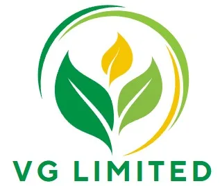 Company Overview - VG Limited