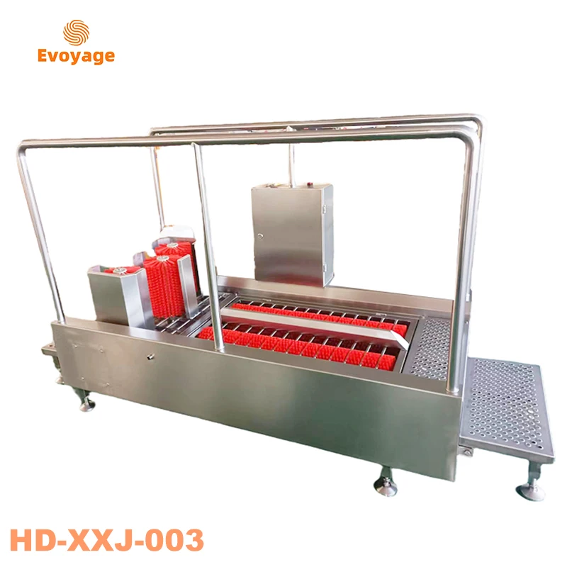 Industrial Automatic Hand Washing Hygiene Disinfection Boot Shoe Washer ...