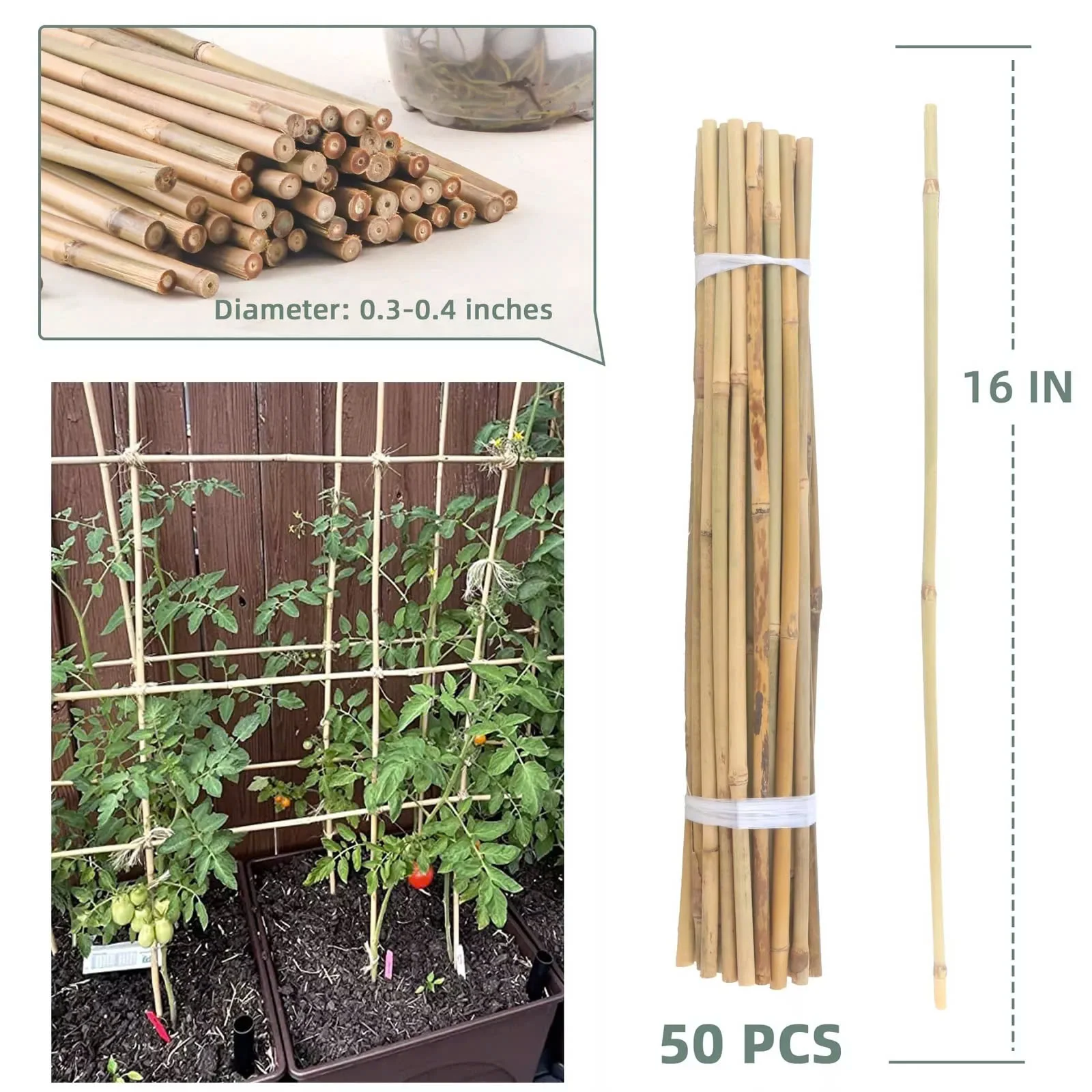 Natural Bamboo Poles Cane Strips Slats Stakes High Quality Eco2go ...