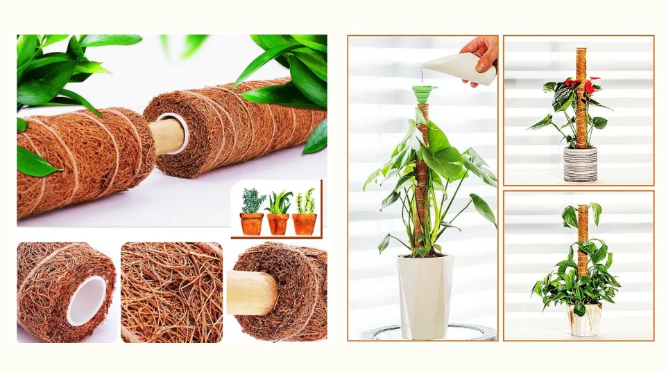Vietnamese Factory Coconut Coir Moss Pole/coco Fiber Product/ Plant ...