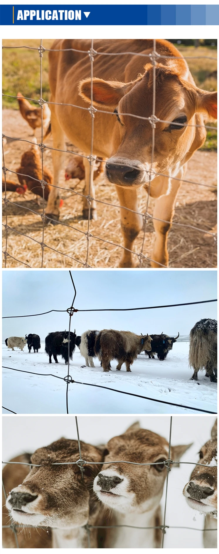 Wholesale High Quality High Tensile Field Wire Joint Field Farm Fence ...