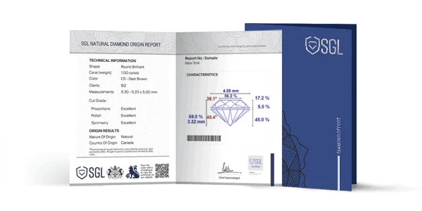 Loose Natural Diamonds SGL Certificate 3MM Round Brilliant Cut Diamond ...
