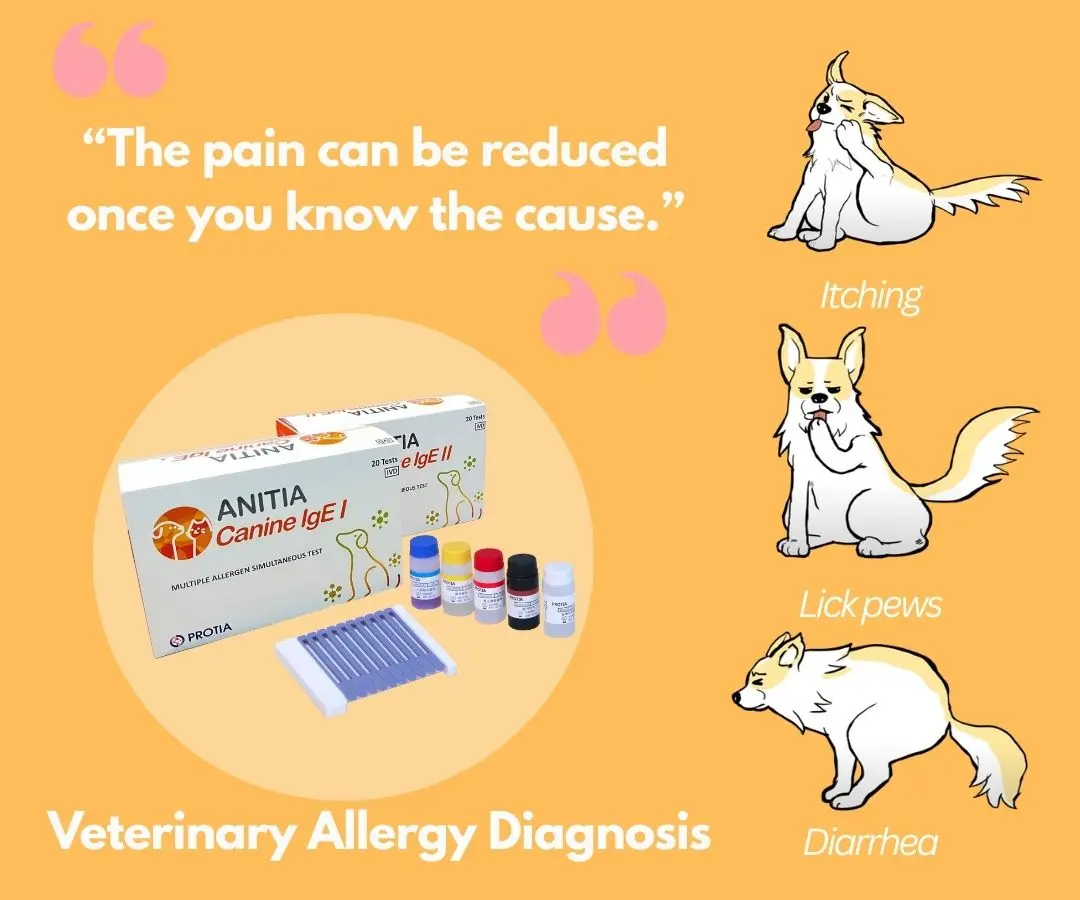 Accurate Total & Specific IgE Quantitative Diagnosis for Pet Allergies ...