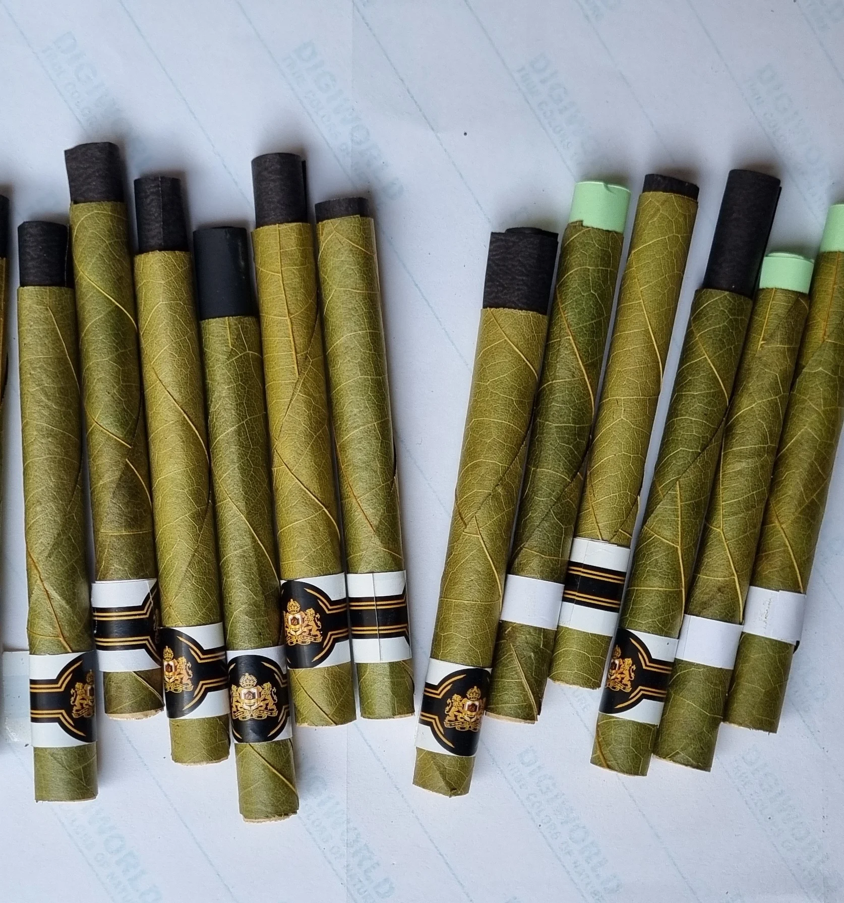 Organic Palm Leaf Rolls - King Size, Best Prices, Eco-friendly