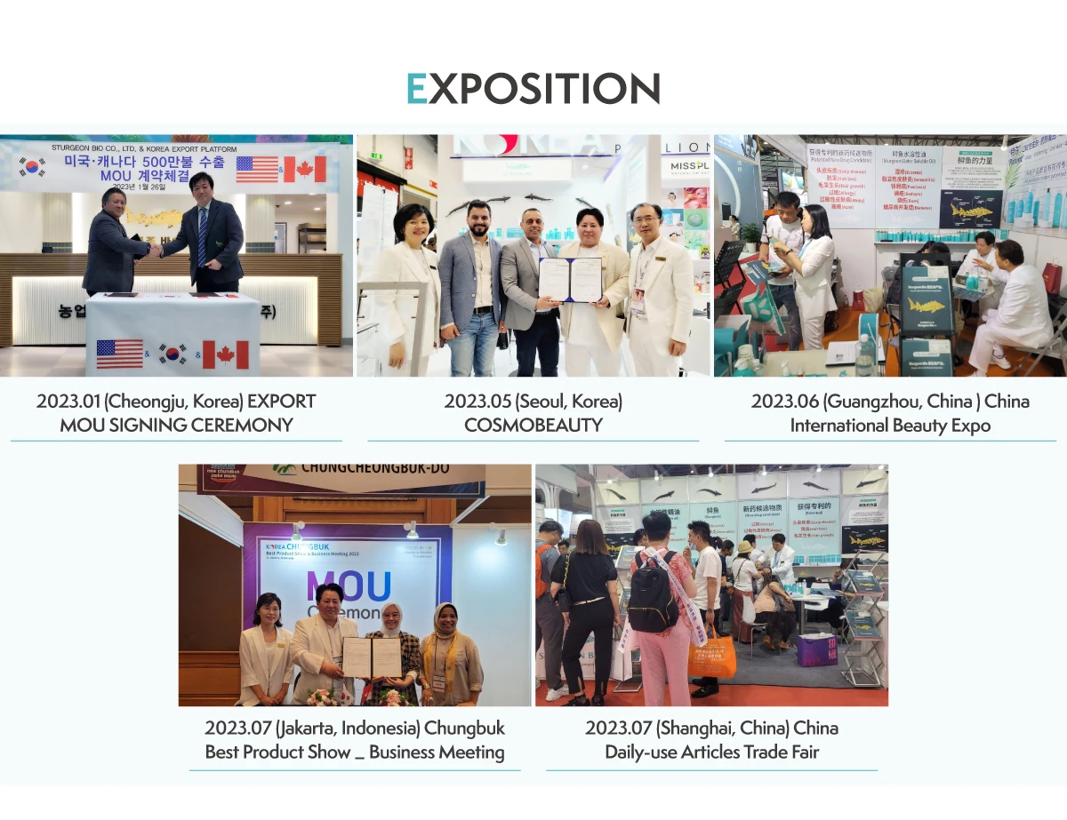 Korean Premium Face Cream Sturgeon Extract Moisturizing Functional The ...