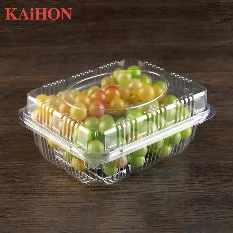 Clear Plastic Box Food Container Pet Disposable Transparent Fruit ...