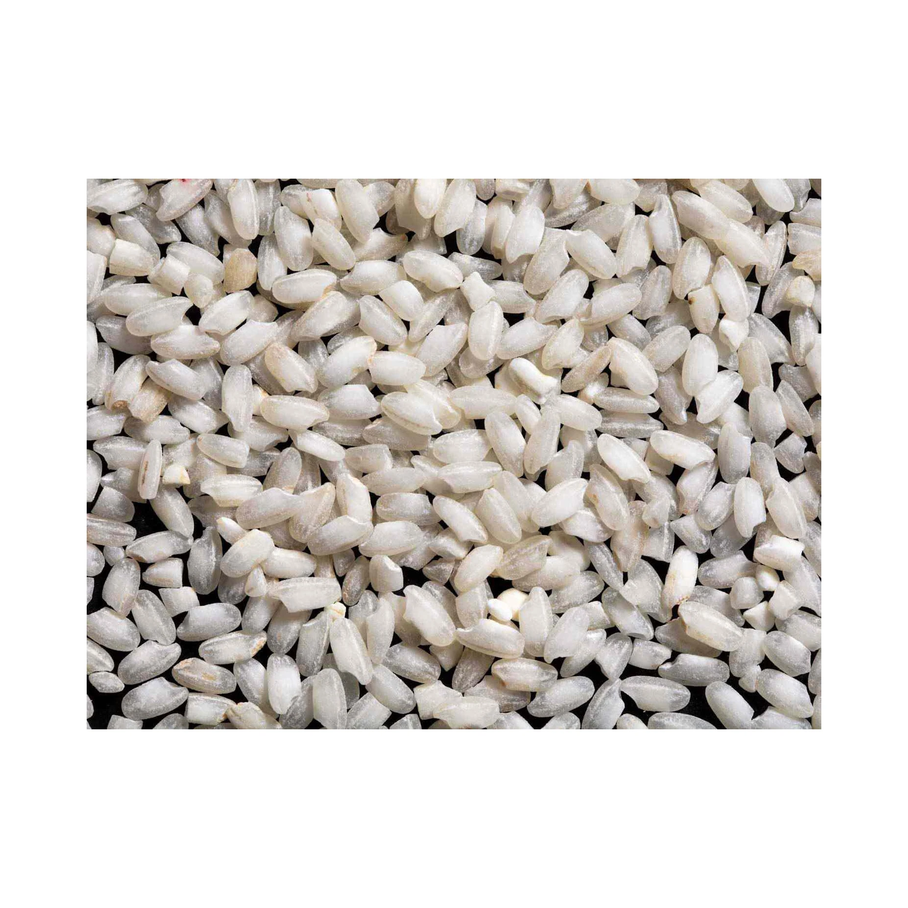 Arborio Long Grain Arborio Rice 100% Clean All Quality,Rice Brands ...