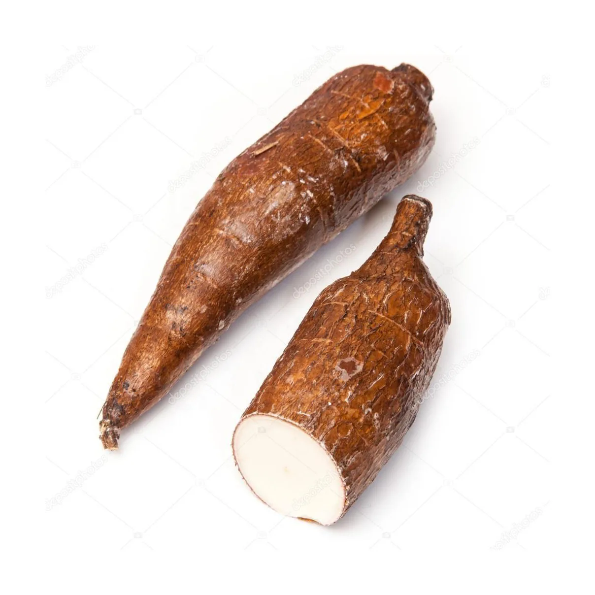Fresh Cassava Best Quality ( Manioc/ Tapioca / Yuca / Macaxeira ...