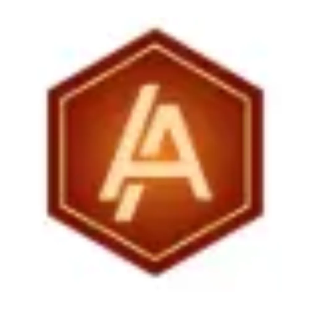 Company Overview - AA ENTERPRISES