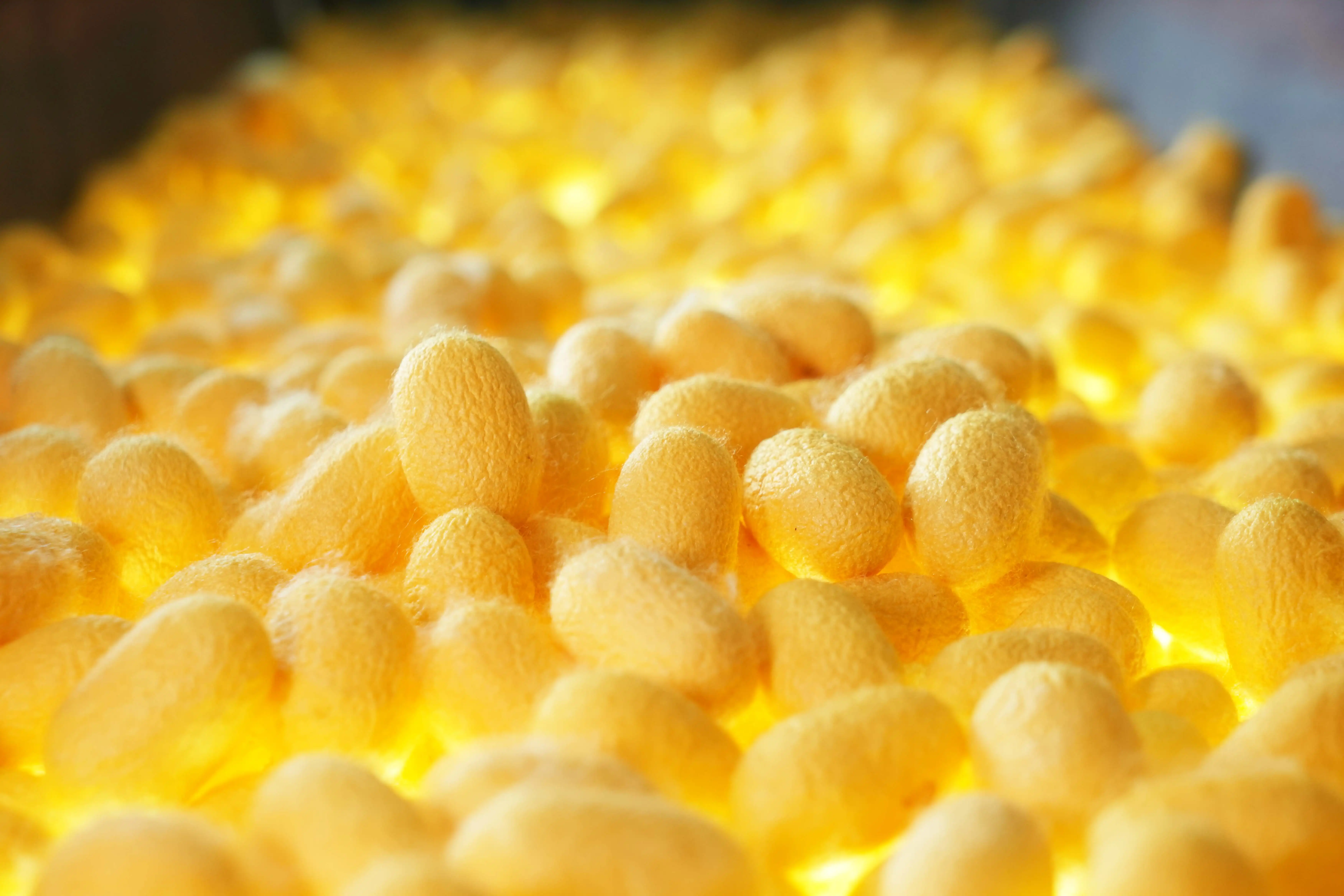 Mayuro Gold Cocoon Sugar Mois 100% Natural Face Care Japan Product ...