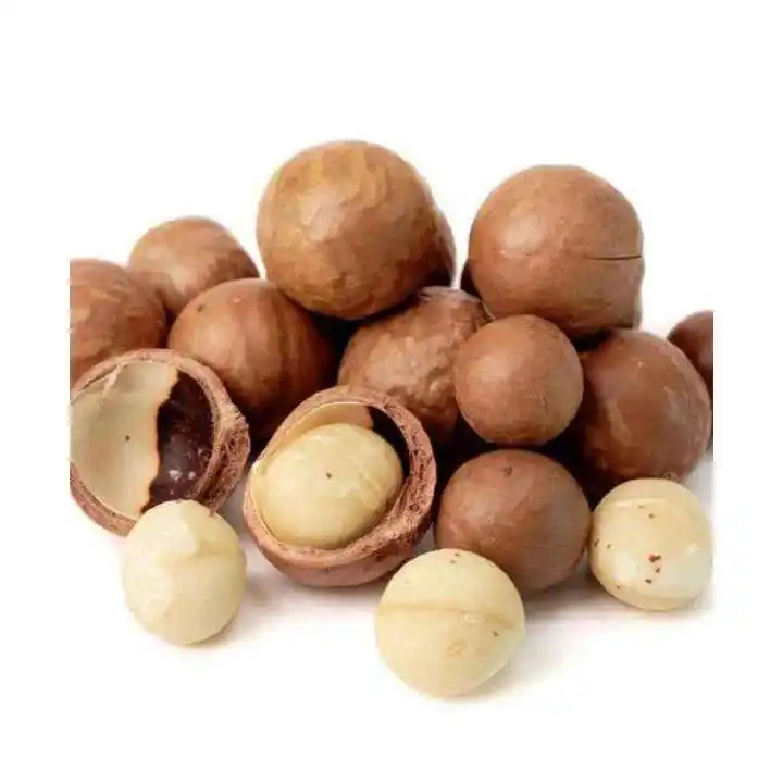 Non-GMO Macadamia Nuts in Shell Bulk Origin Zimbabwe Raw Shelled ...