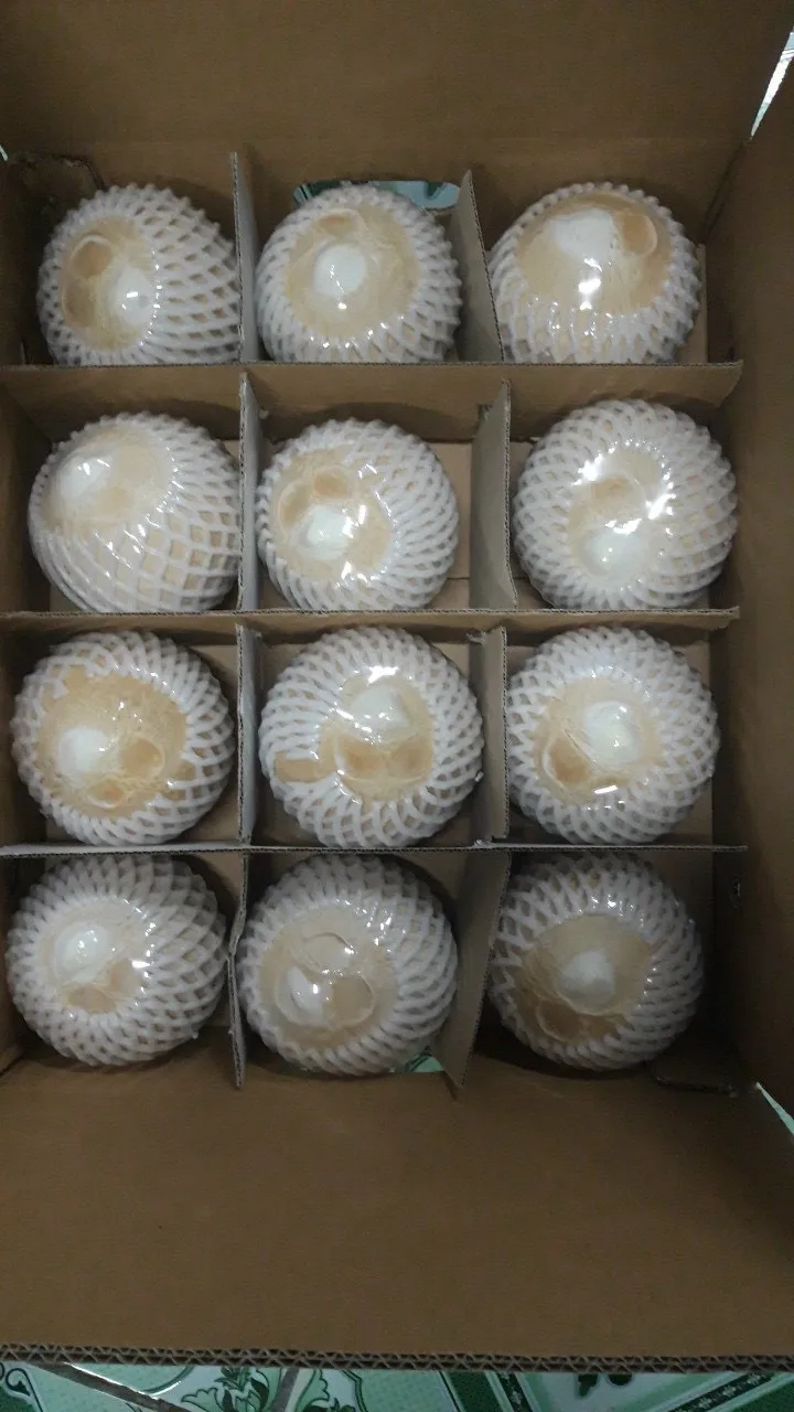 Fresh Young Coconuts,Boasting A Diamond Shape And Polished Surface ...