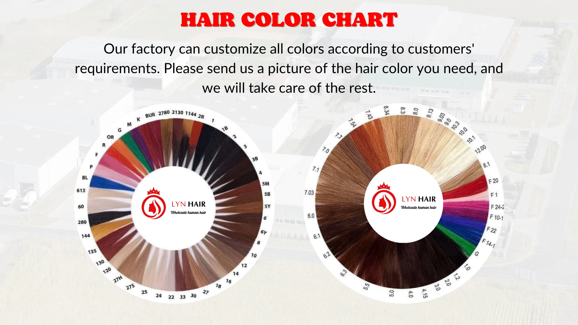 Transparent Hair All Texture Go With Closure 2x4 2x6 4x4 5x5 6x6 13x4 ...