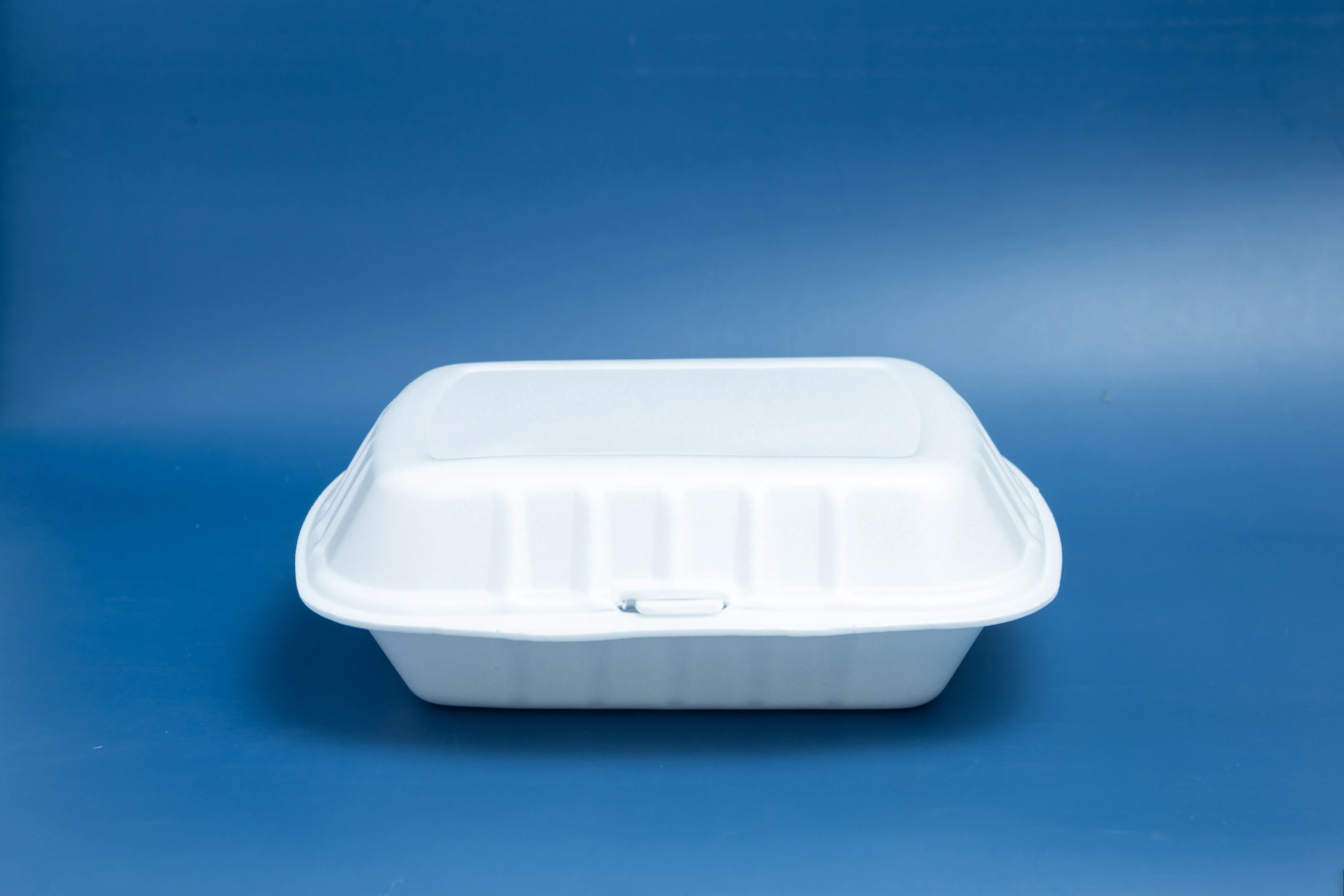 Three Compartments Disposable Ps Foam Food Container High Quality For Food/ Fruit Japan Standard ...